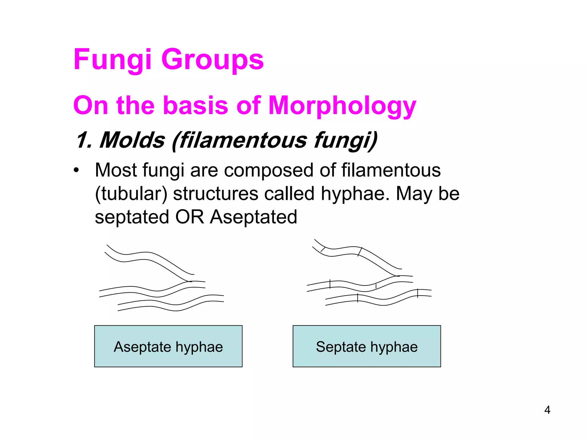 Fungal infections of the oral cavity | PDF