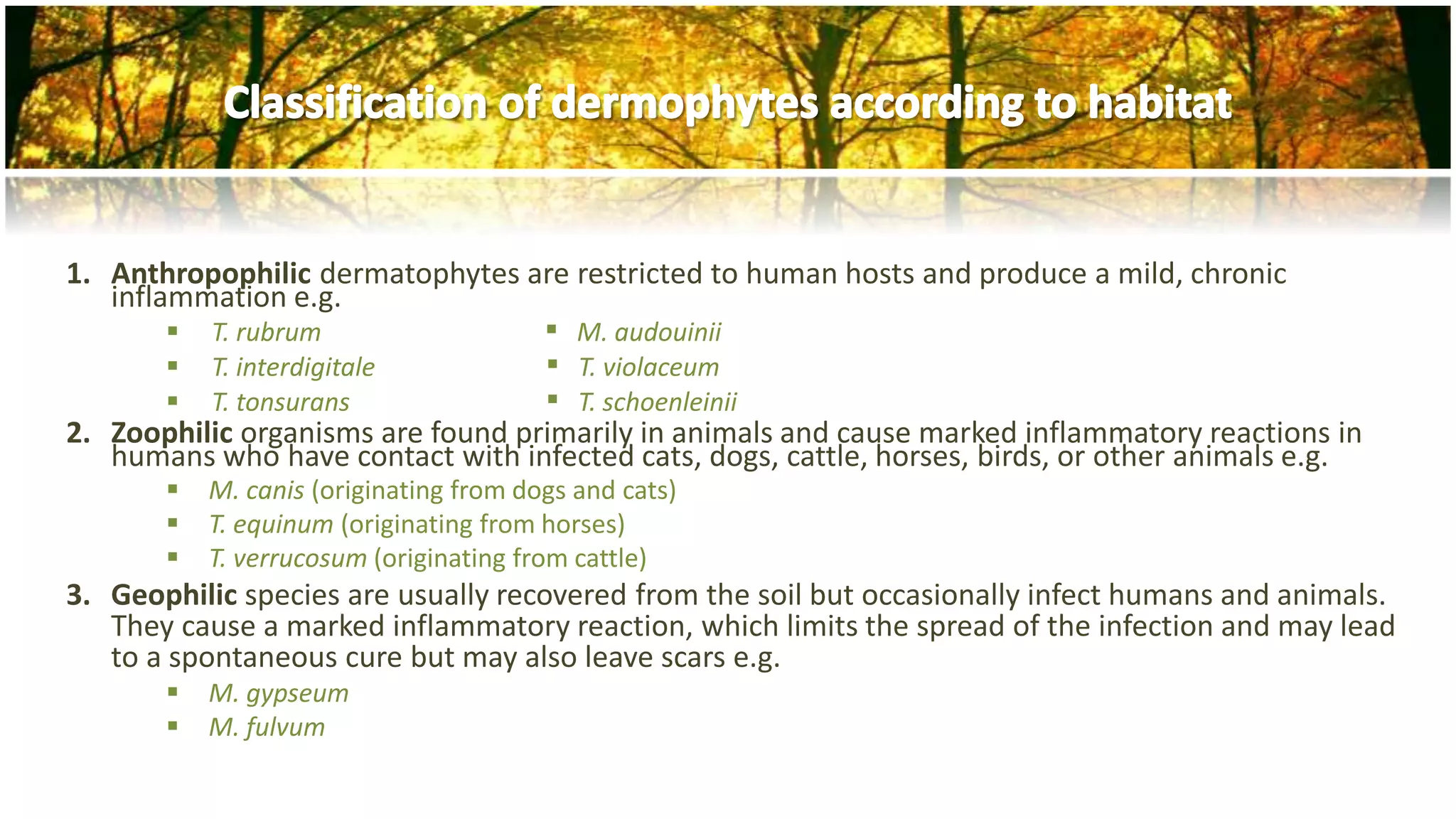 Fungal infections part I | PPTX