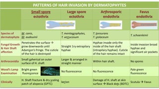 Fungal infections part III | PPT