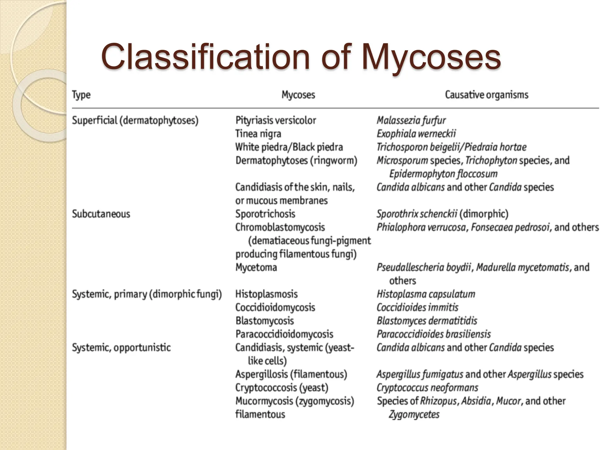 Fungal Infections/ Mycoses ppt by Dr.C.P.PRINCE | PPTX
