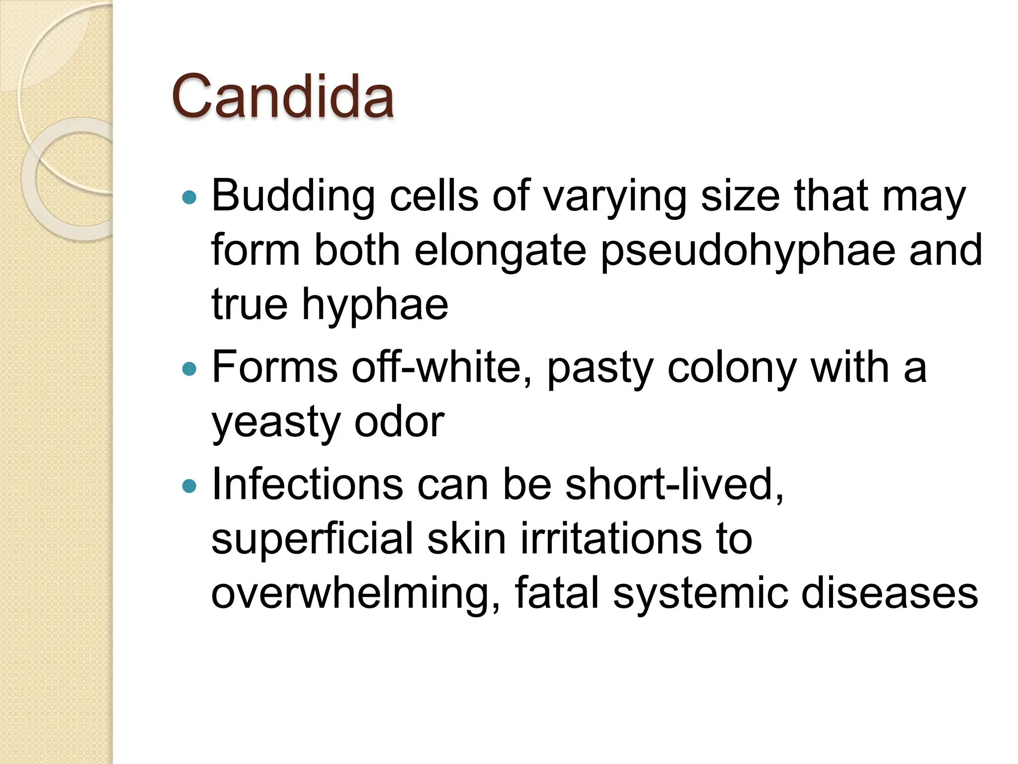 Fungal Infections/ Mycoses ppt by Dr.C.P.PRINCE | PPTX