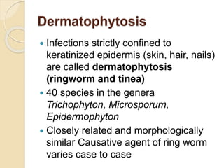 Fungal Infections/ Mycoses ppt by Dr.C.P.PRINCE | PPTX