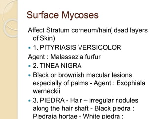 Fungal Infections/ Mycoses ppt by Dr.C.P.PRINCE | PPTX