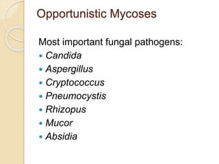 Fungal Infections/ Mycoses ppt by Dr.C.P.PRINCE | PPTX