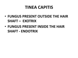 Fungal infections prenav | PPTX