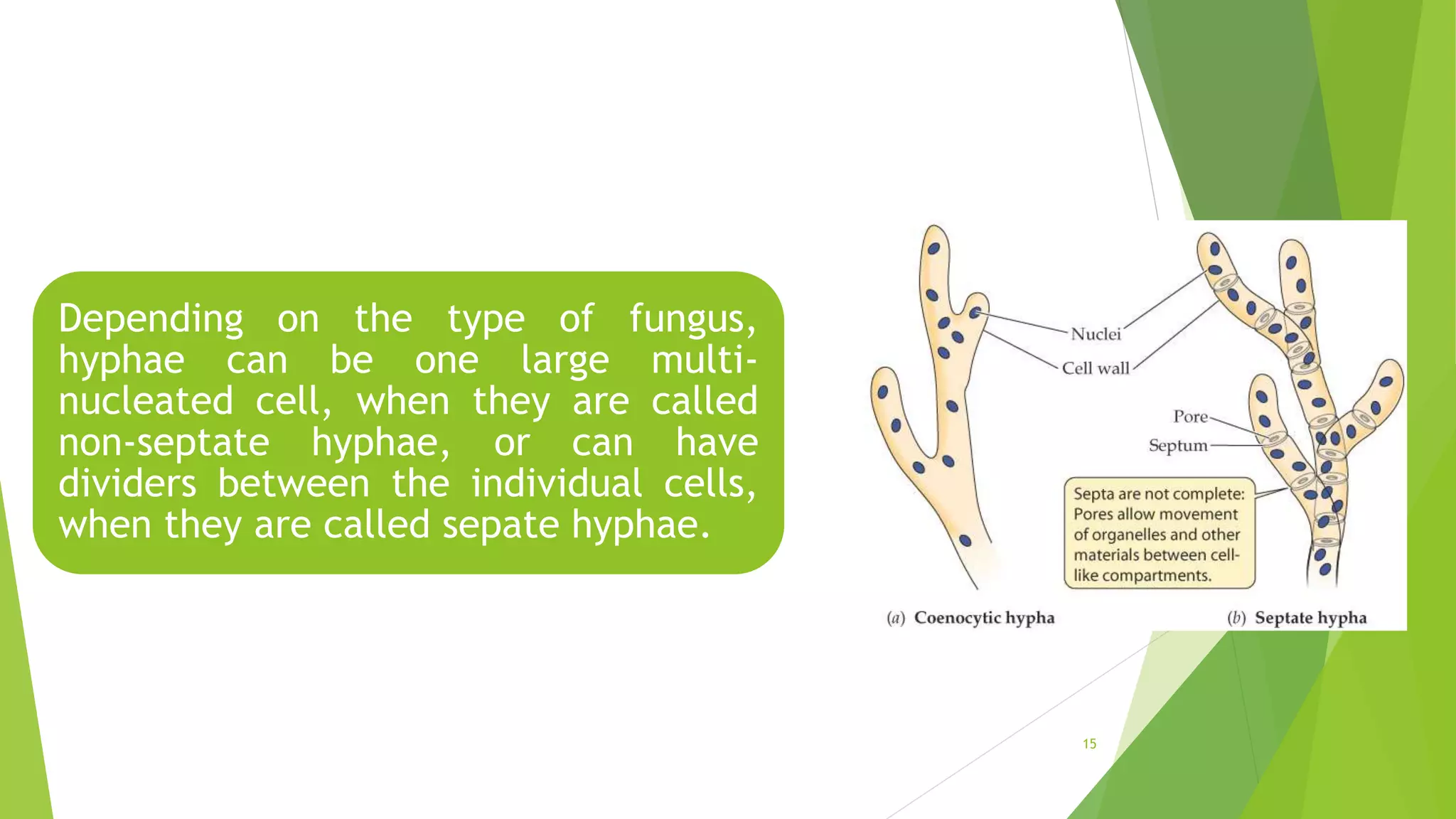 FUNGAL INFECTIONS OF ORAL CAVITY | PPTX