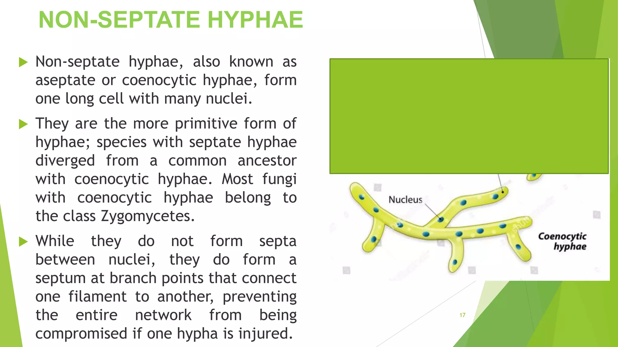 FUNGAL INFECTIONS OF ORAL CAVITY | PPTX
