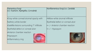 Filamentous Fungal Keratitis