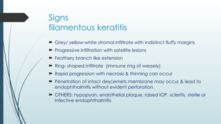 fungalkeratitis.pptx of fungal corneal infection | PPTX