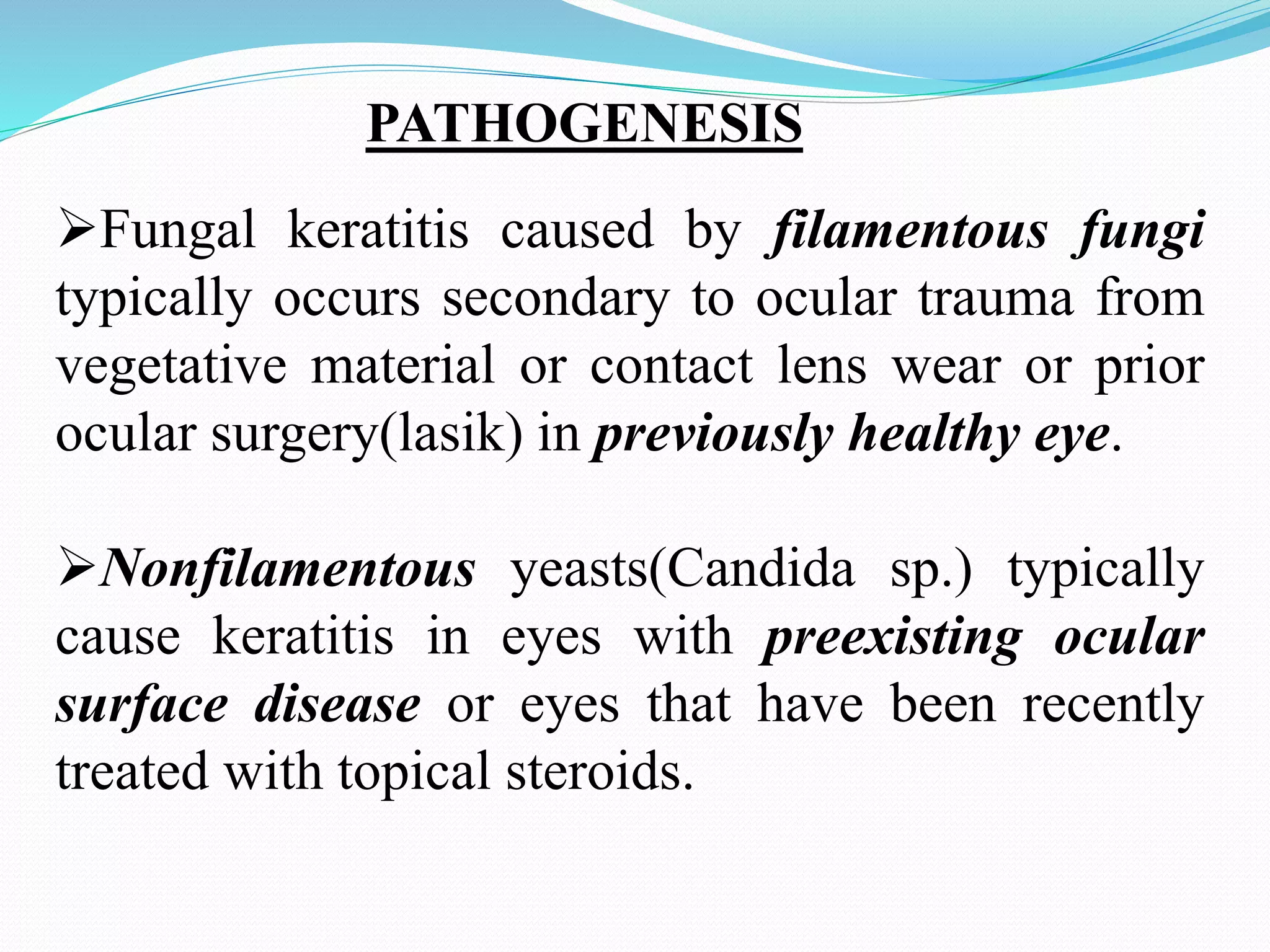 Fungal keratitis | PPTX | Eye and Vision Conditions | Diseases and ...