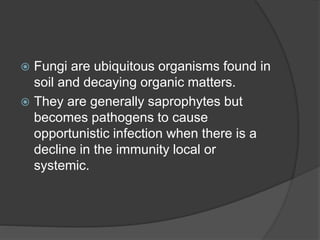 Fungal lesions of the eye | PPTX