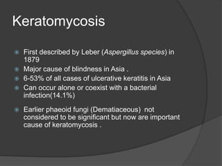 Keratomycosis
