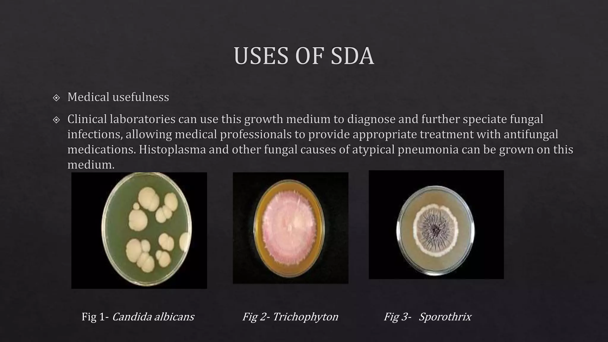 Fungal media | PPTX