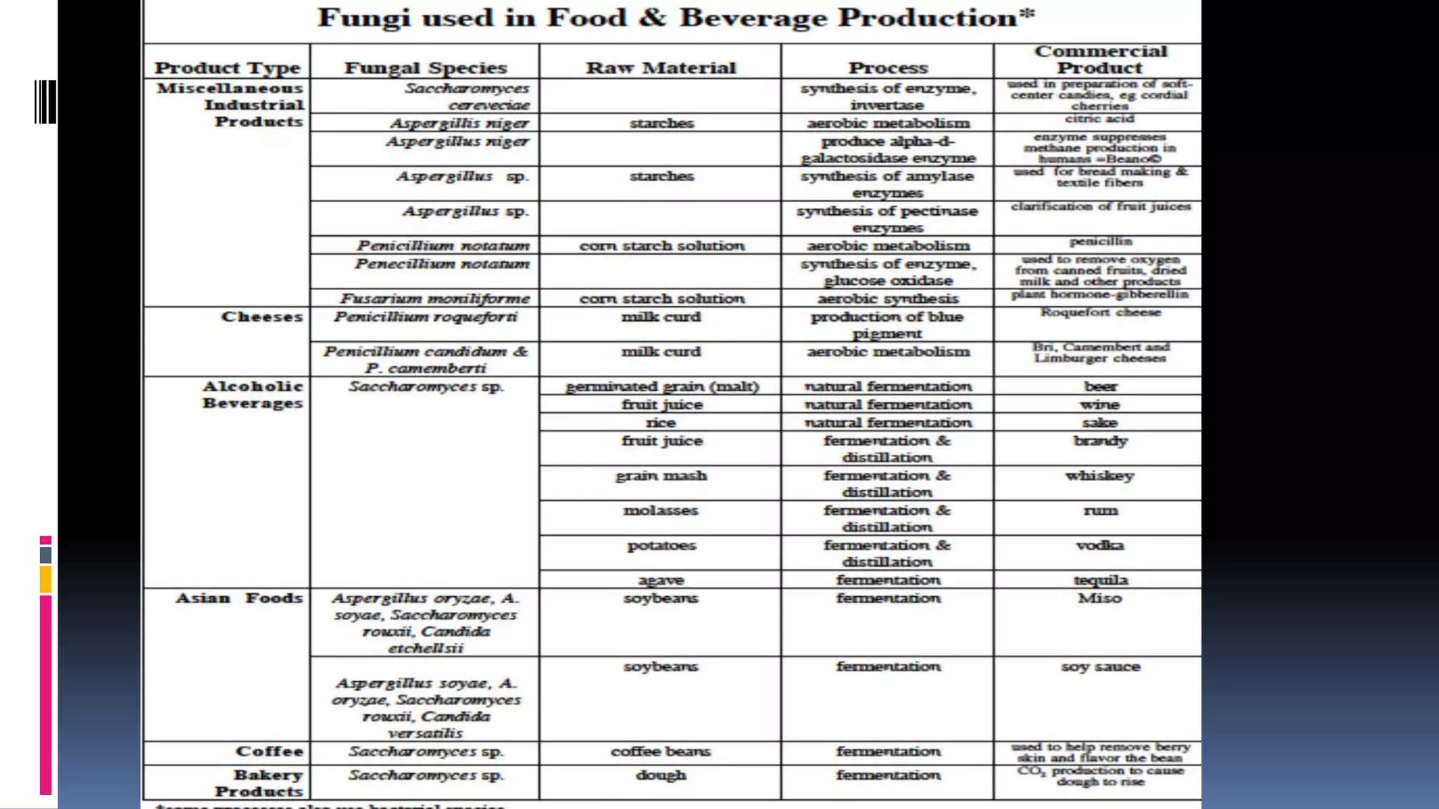 Fungal Metabolism.pptx