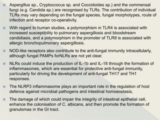 fungal microbiota and digestive diseases.pptx