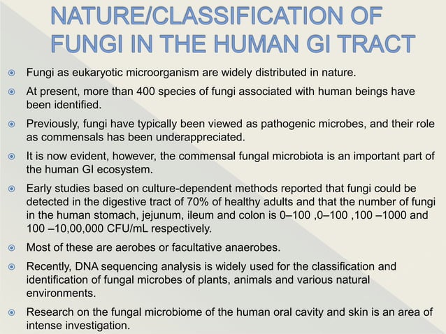 fungal microbiota and digestive diseases.pptx | Digestive Disorders ...