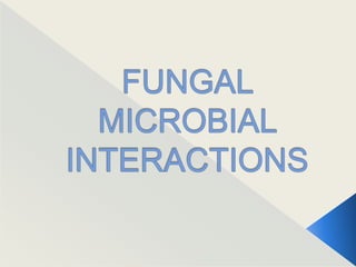 fungal microbiota and digestive diseases.pptx