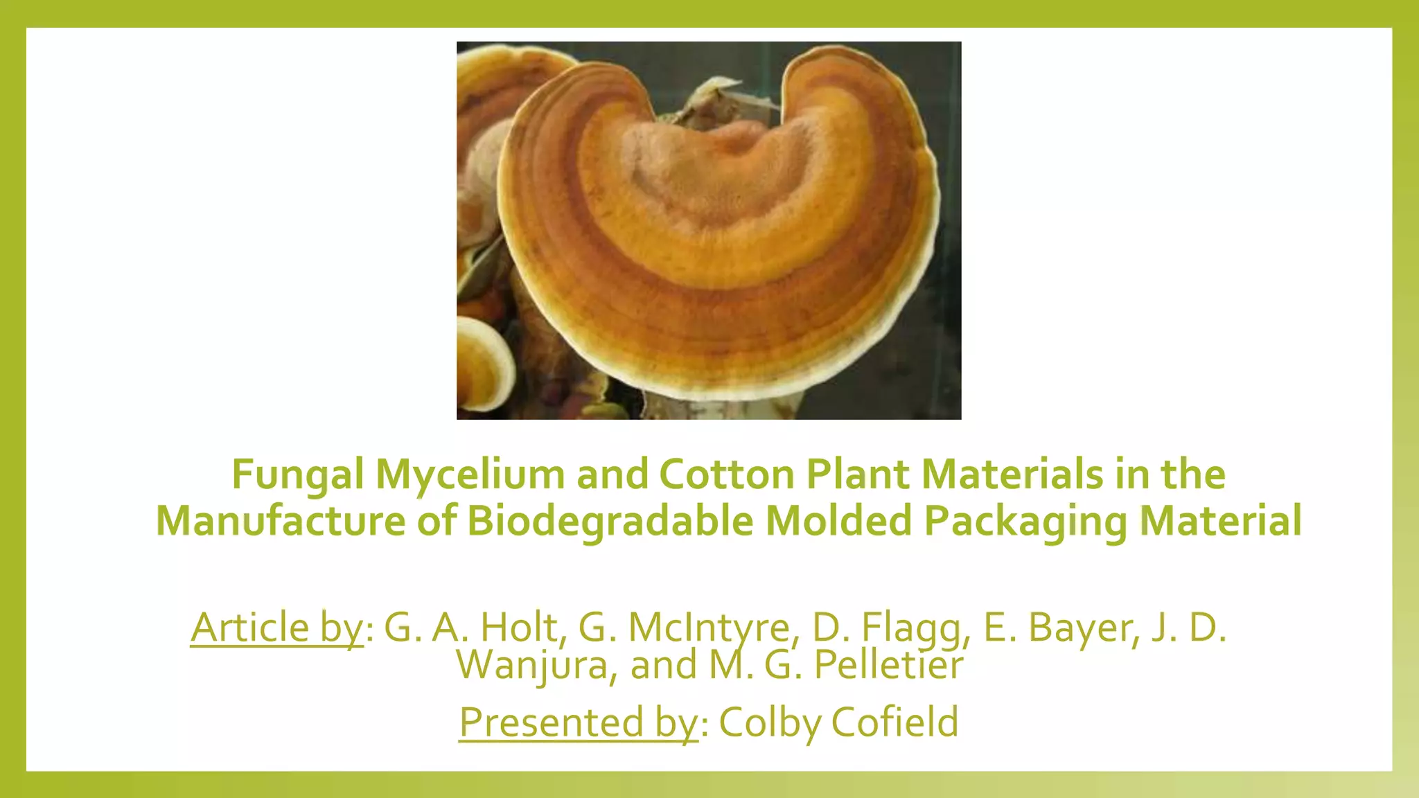 Fungal mycelium and cotton plant materials in the manifacture of ...
