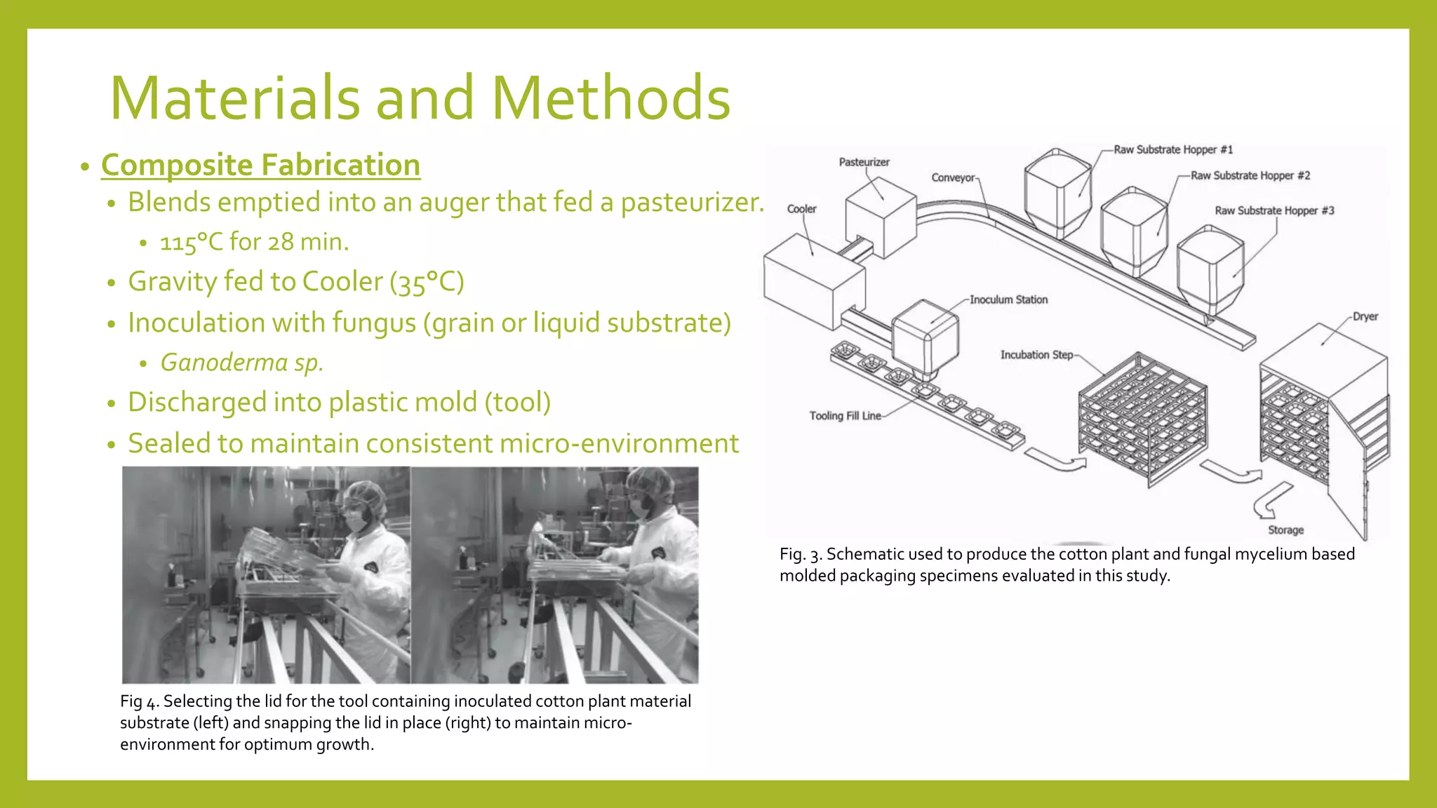 Fungal mycelium and cotton plant materials in the manifacture of ...