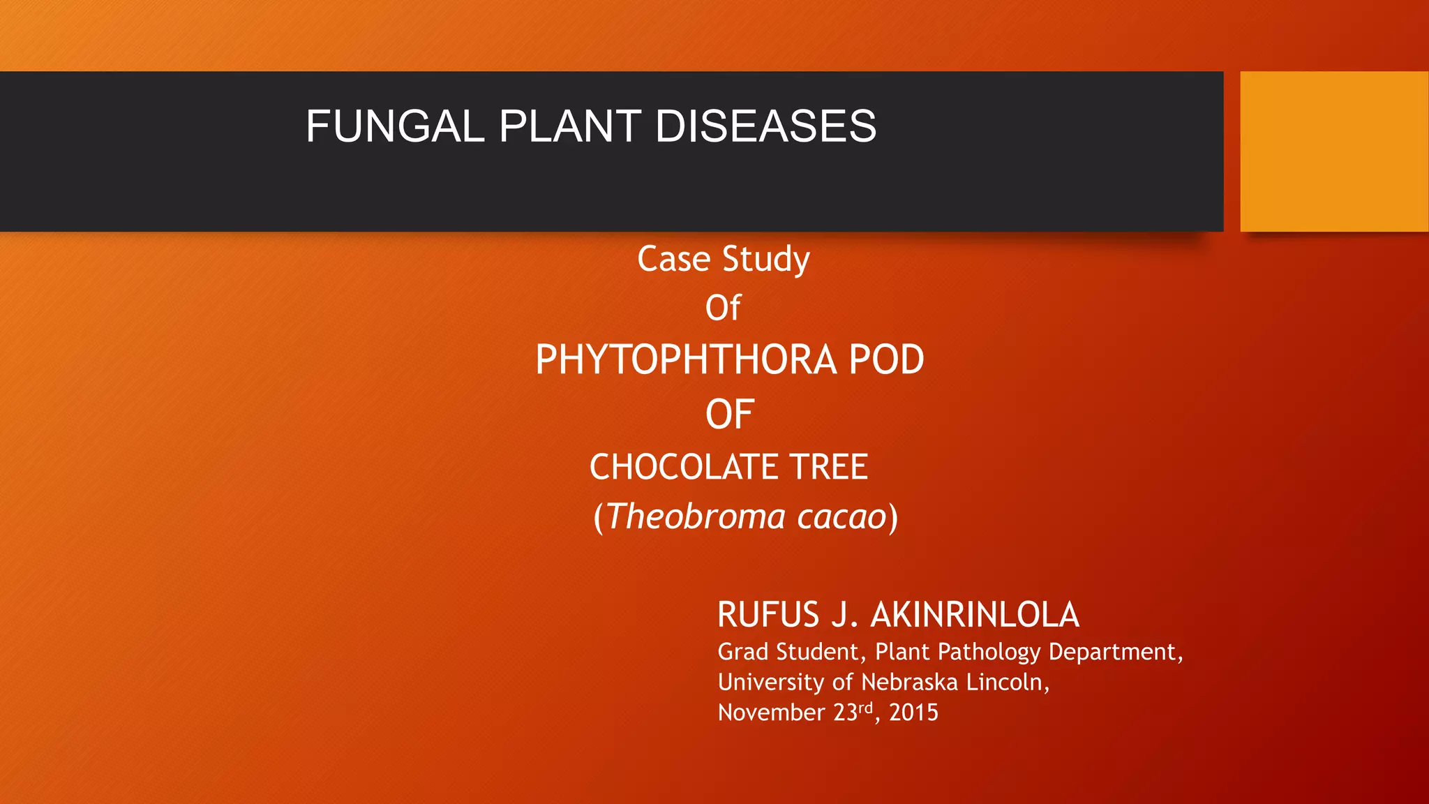 Black Pod disease of cocoa | PPTX
