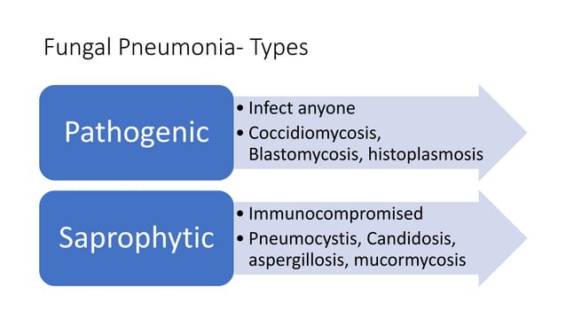 Fungal Pneumonia in children rare casepptx | PPT