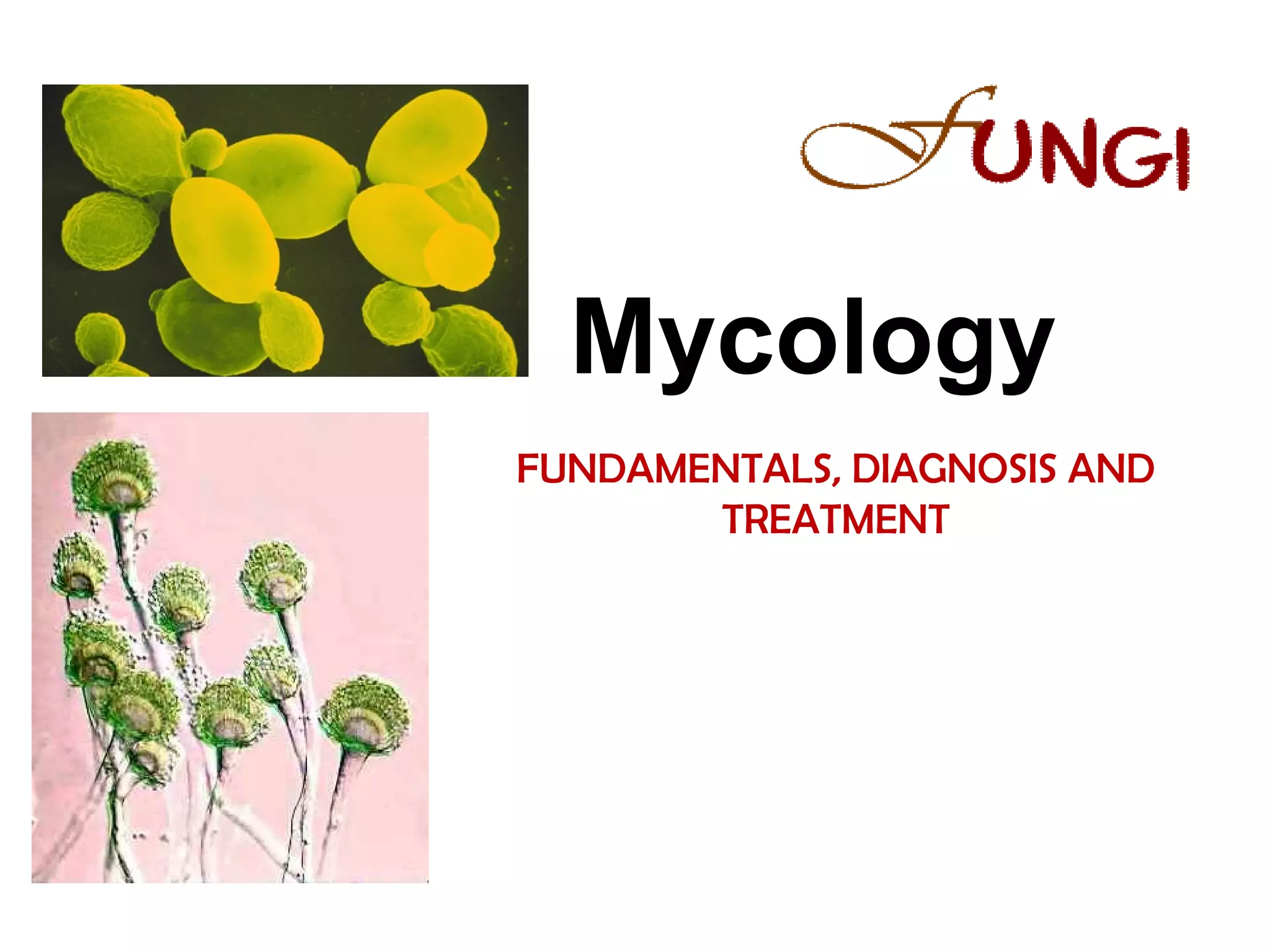 Fungal presentation | PPT