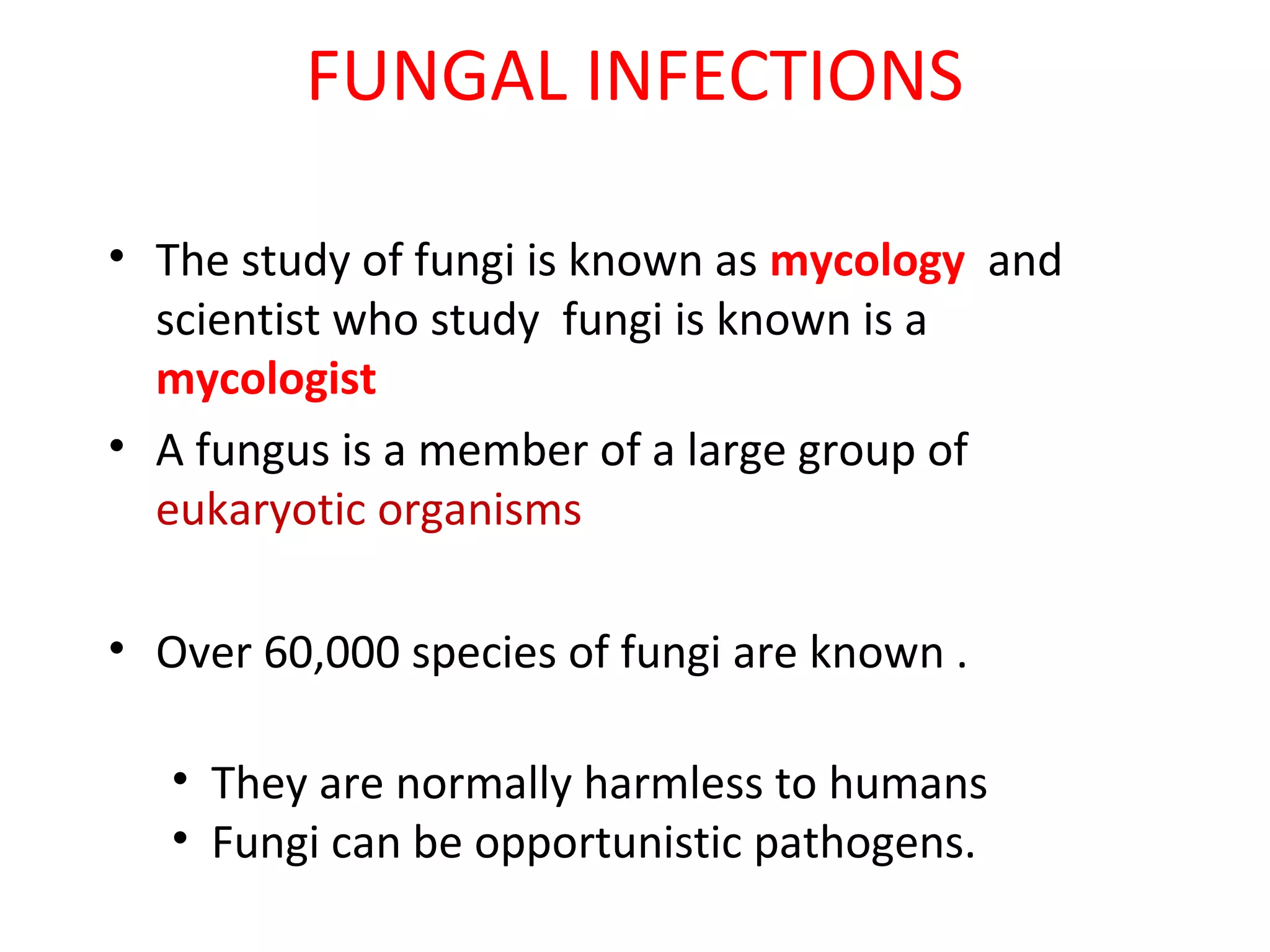 Fungal presentation | PPT
