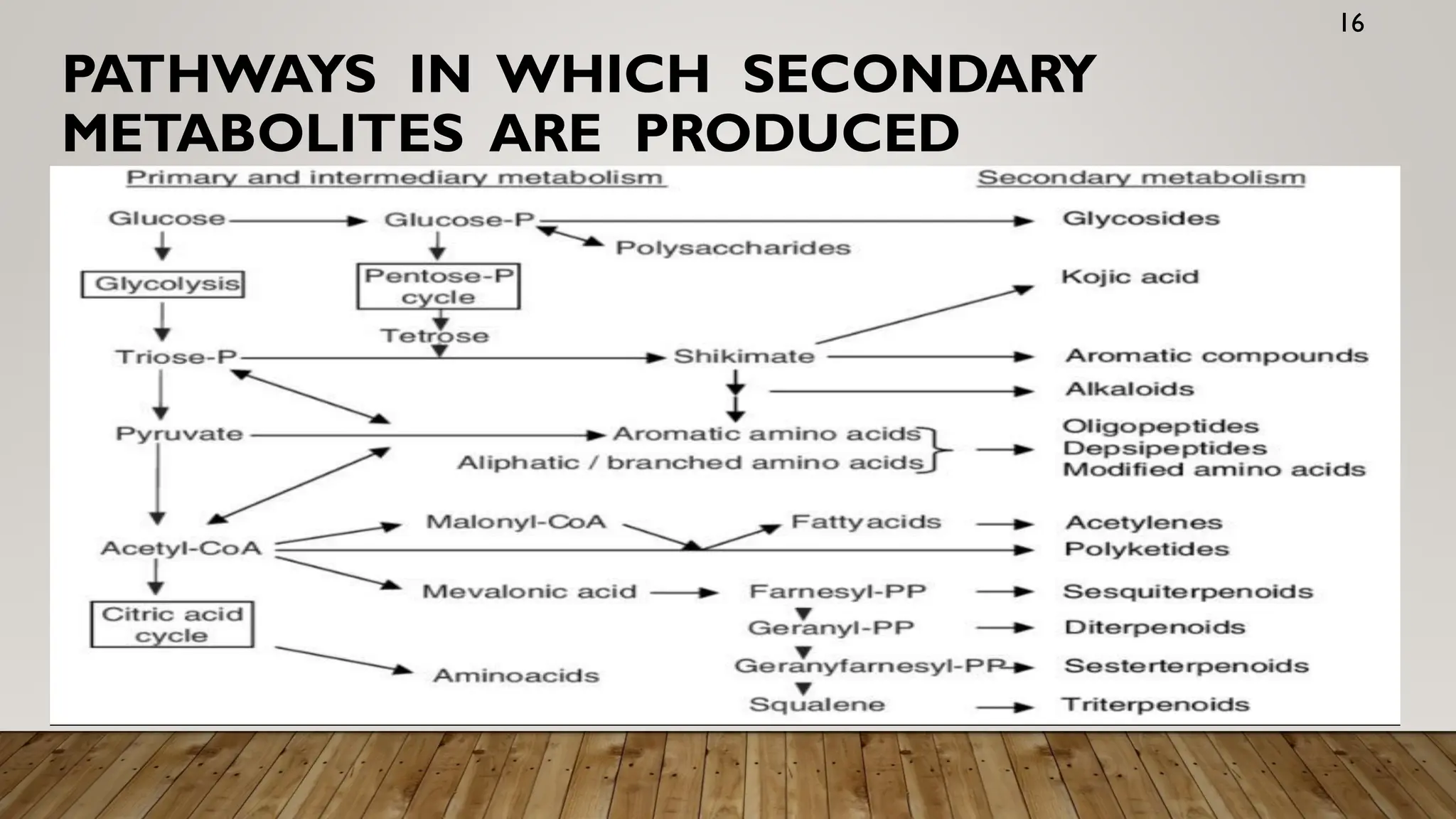 Fungal primary and secondary metabolism.pdf