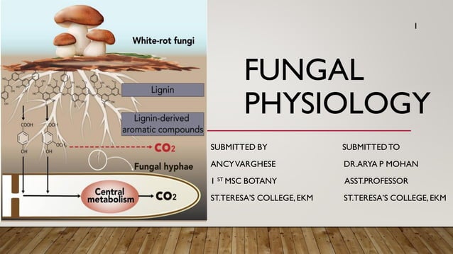 Fungal primary and secondary metabolism.pdf