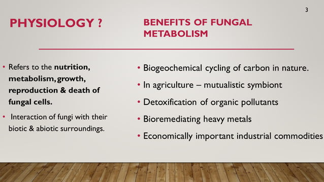 Fungal primary and secondary metabolism.pdf
