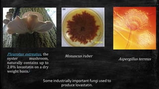 Fungal secondary metabolite - Lovastatin.pptx