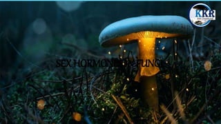 Fungal Sex Hormones SIRENIN ANTHERIDIOL. | PPTX