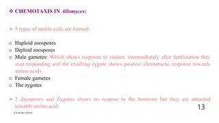 Fungal Sex Hormones SIRENIN ANTHERIDIOL. | PPTX