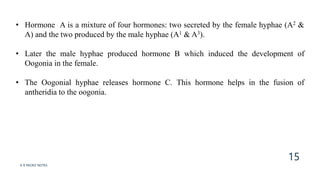 Fungal Sex Hormones SIRENIN ANTHERIDIOL. | PPTX