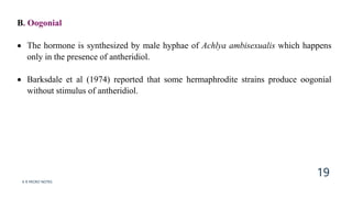 Fungal Sex Hormones SIRENIN ANTHERIDIOL. | PPTX