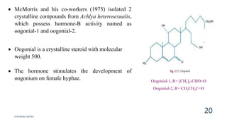 Fungal Sex Hormones SIRENIN ANTHERIDIOL. | PPTX
