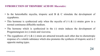 Fungal Sex Hormones SIRENIN ANTHERIDIOL. | PPTX
