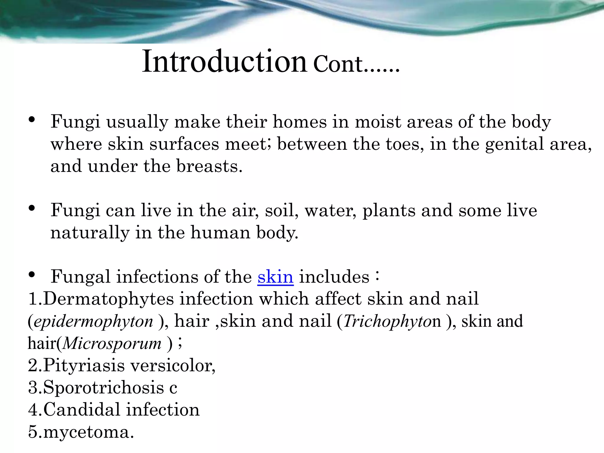 Fungal skin infection | PPTX