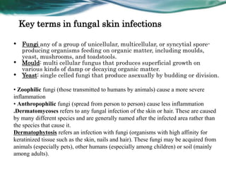 Fungal skin infection | PPTX
