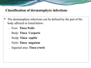 Fungal skin infection | PPTX