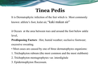 Fungal skin infection | PPTX