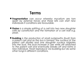 Fungal spore 1 | PPT