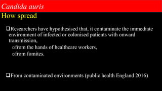 Fungal superbugs | PPTX