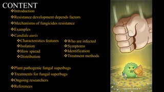 Fungal superbugs | PPTX