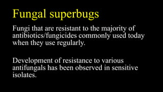 Fungal superbugs | PPTX