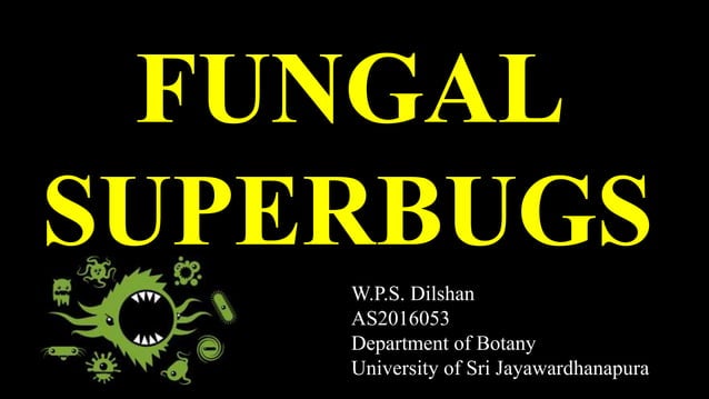 Fungal superbugs | PPT