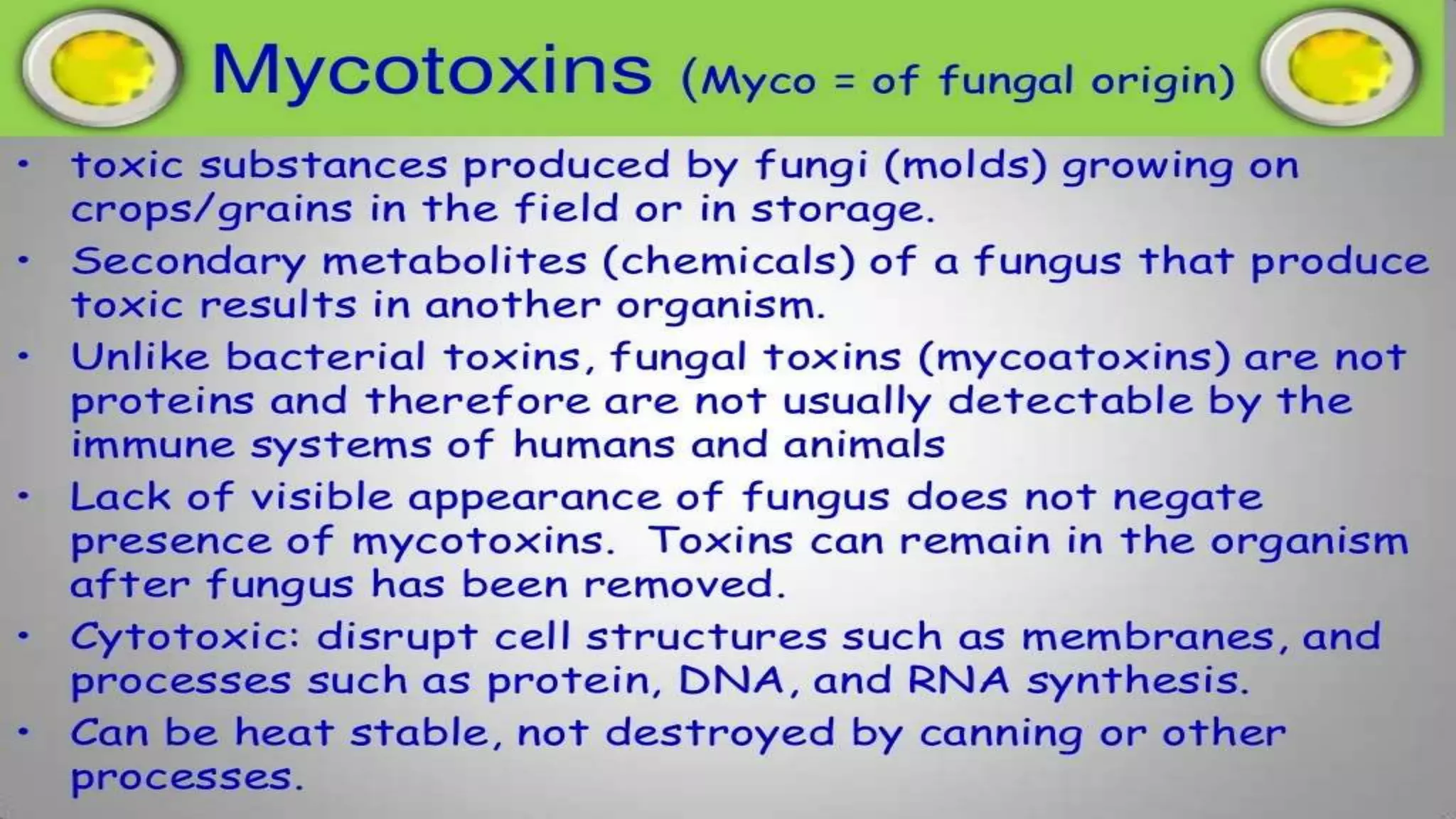 fungal toxin (1).pptx