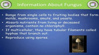 fungal toxin (1).pptx
