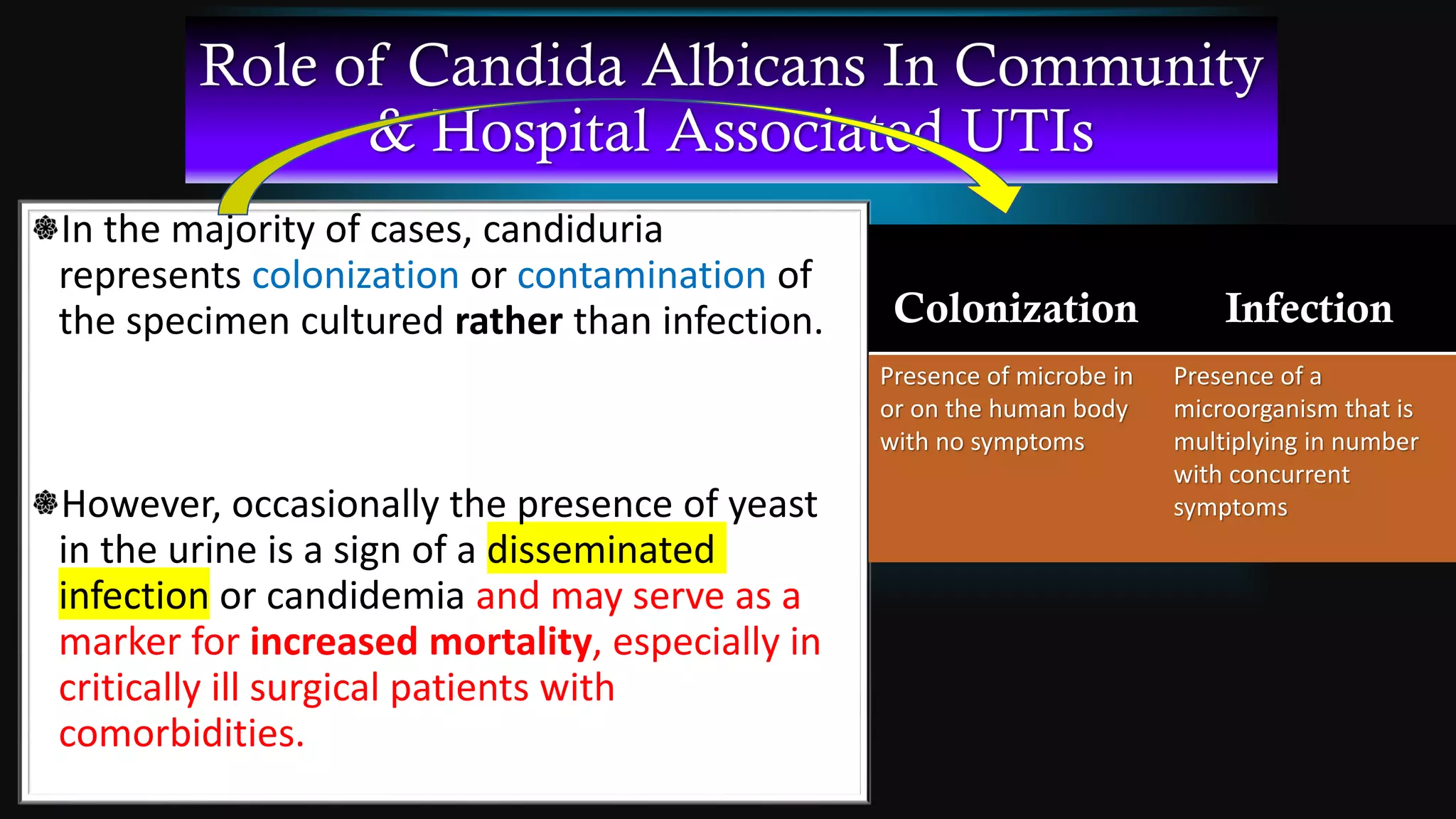 Fungal Urinary Tract Infections by YF.pdf