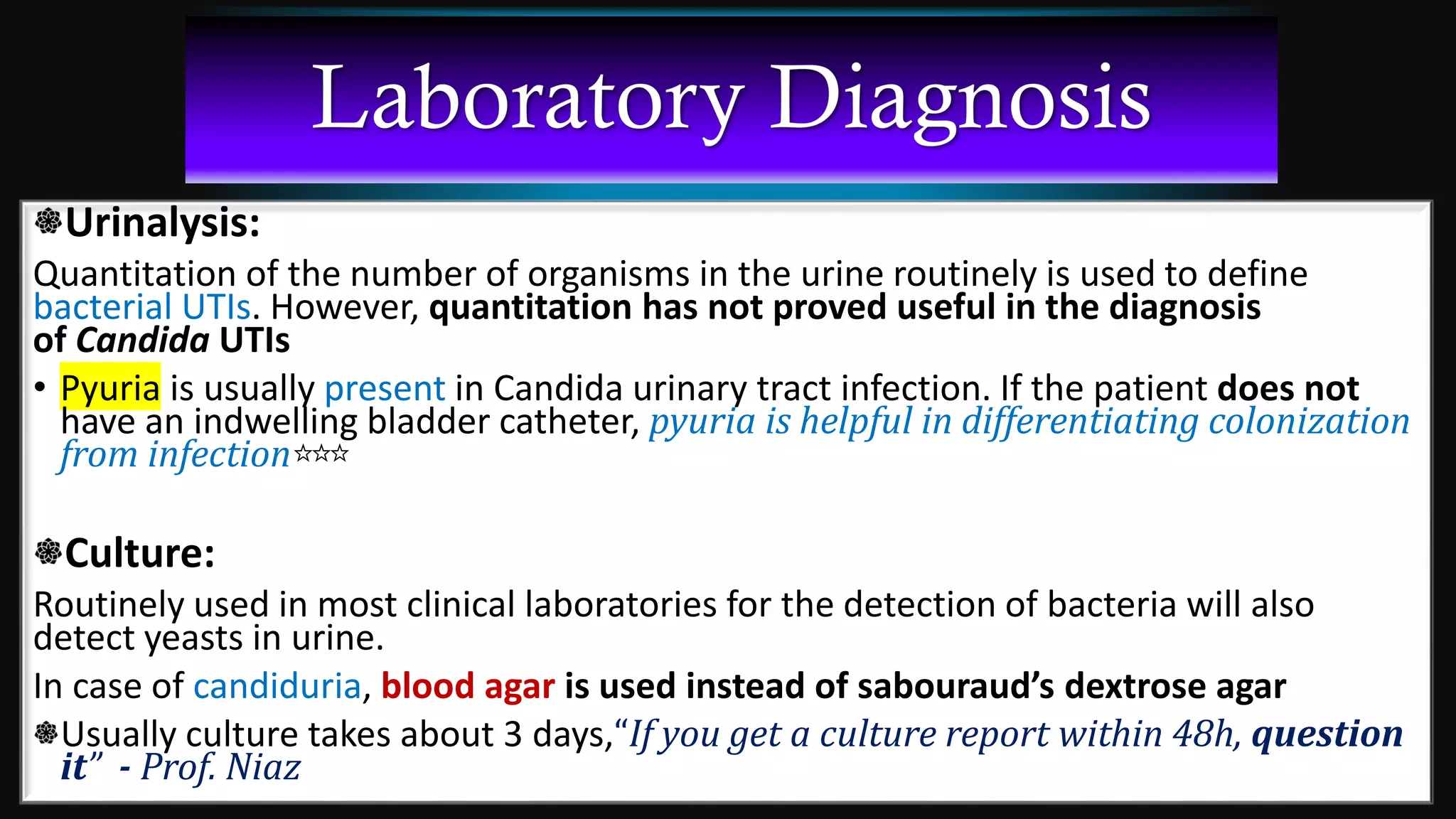 Fungal Urinary Tract Infections by YF.pdf